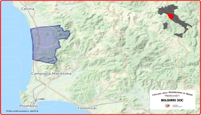 The wines Super Tuscan….the king, the Sassicaia. – Juventus Academy HQ ...